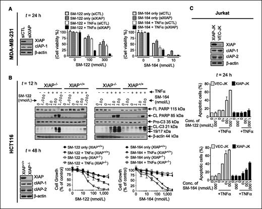 SM-164: A Novel, Bivalent Smac Mimetic That Induces Apoptosis and Tumor ...