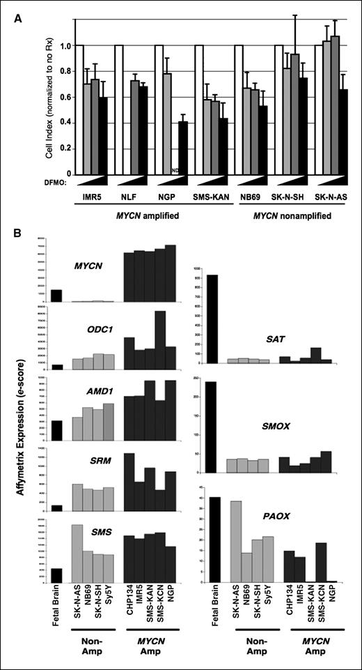 ODC1 Is a Critical Determinant of MYCN Oncogenesis and a Therapeutic ...