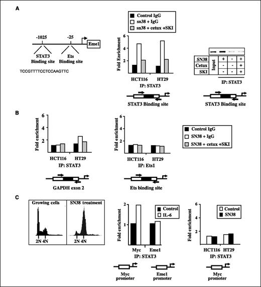 The EGFR-STAT3 Oncogenic Pathway Up-regulates the Eme1 Endonuclease to ...
