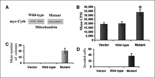 Mitochondrial Cytochrome B Gene Mutation Promotes Tumor Growth in ...