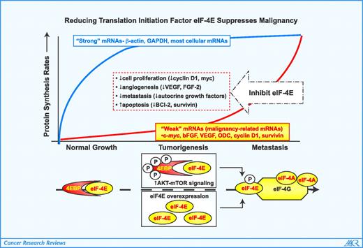 Targeting the Eukaryotic Translation Initiation Factor 4E for Cancer ...