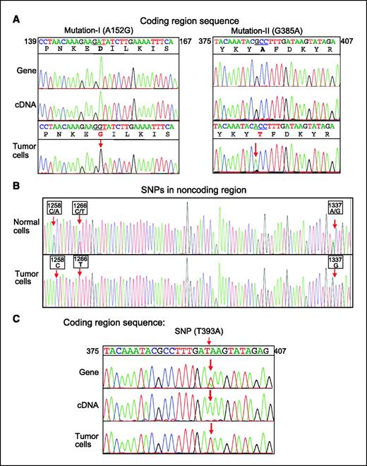 Human Tumor Antigens Tn and Sialyl Tn Arise from Mutations in Cosmc ...