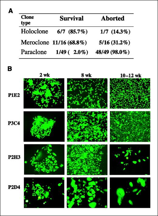 PC3 Human Prostate Carcinoma Cell Holoclones Contain Self-renewing ...