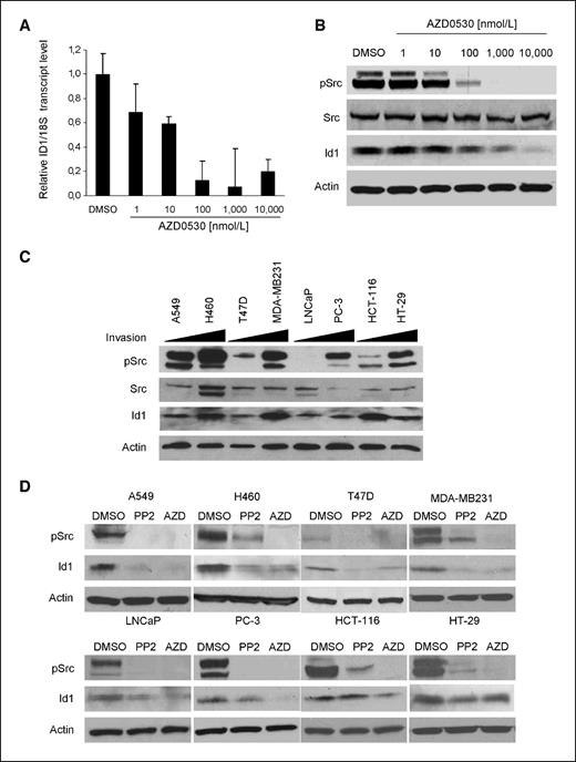 Regulation of Id1 Expression by Src: Implications for Targeting of the ...