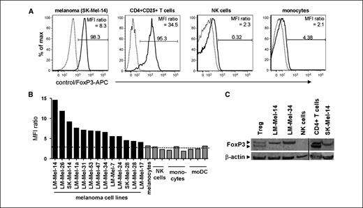 The Regulatory T Cell–Associated Transcription Factor FoxP3 Is ...