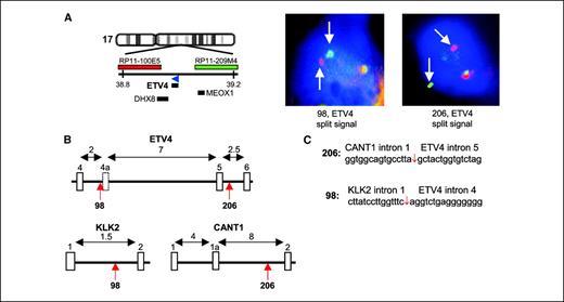 Two Unique Novel Prostate-Specific and Androgen-Regulated Fusion ...