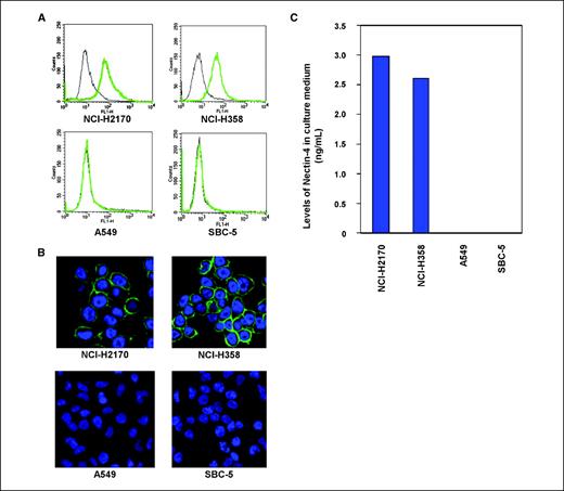 Identification of Nectin-4 Oncoprotein as a Diagnostic and Therapeutic ...