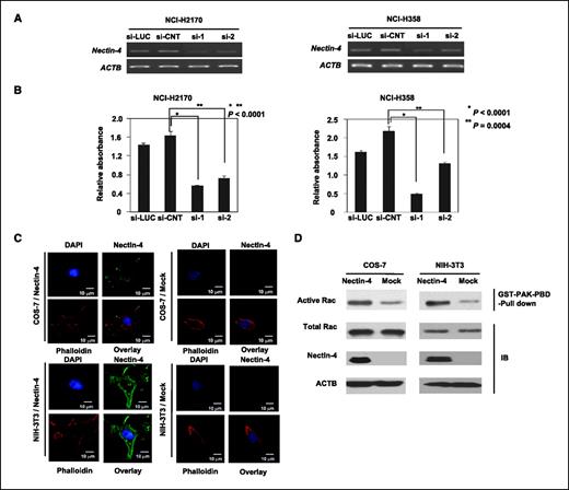 Identification of Nectin-4 Oncoprotein as a Diagnostic and Therapeutic ...