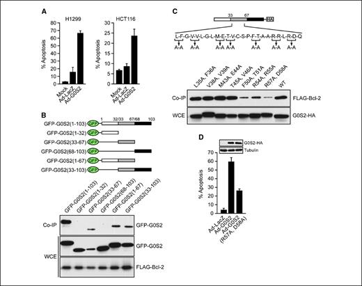 Identification of a Protein, G0S2, That Lacks Bcl-2 Homology Domains ...