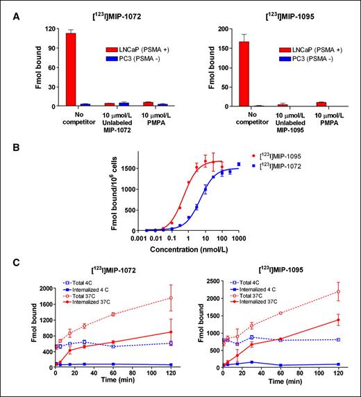 Preclinical Evaluation of Novel Glutamate-Urea-Lysine Analogues That ...