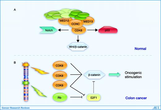 Revving the Throttle on an Oncogene: CDK8 Takes the Driver Seat ...