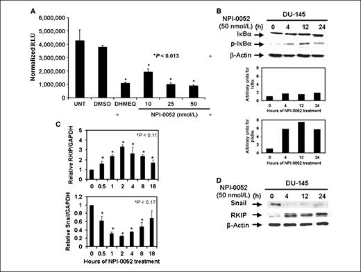 Pivotal Roles of Snail Inhibition and RKIP Induction by the Proteasome ...