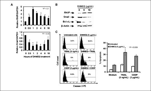 Pivotal Roles of Snail Inhibition and RKIP Induction by the Proteasome ...