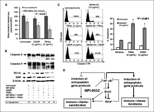 Pivotal Roles of Snail Inhibition and RKIP Induction by the Proteasome ...