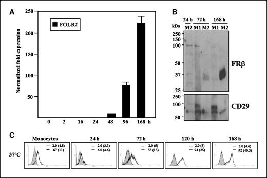 Folate Receptor β Is Expressed by Tumor-Associated Macrophages and ...