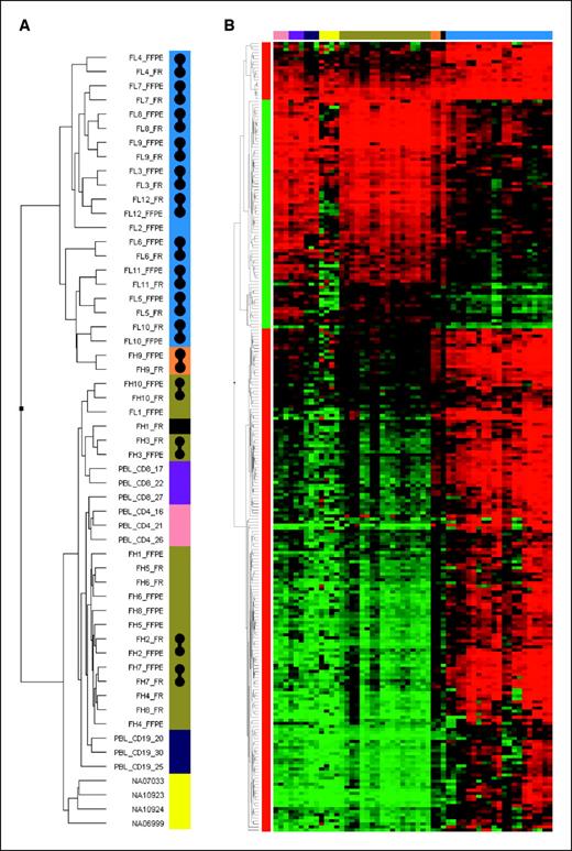 Large-Scale Profiling of Archival Lymph Nodes Reveals Pervasive ...