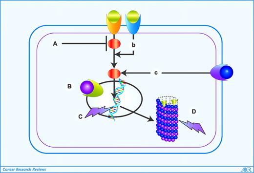 Targeted Cancer Therapeutics | Cancer Research | American Association ...