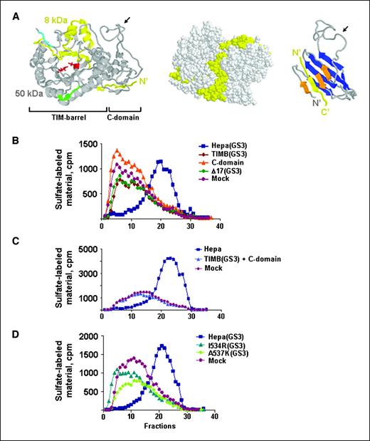 Structure-Function Approach Identifies a COOH-Terminal Domain That ...