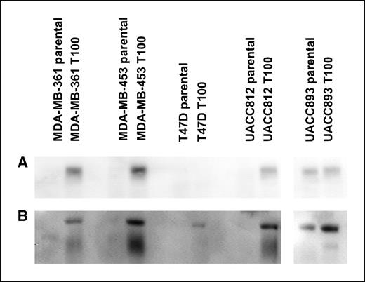 Trastuzumab-Induced HER Reprogramming in “Resistant” Breast Carcinoma ...