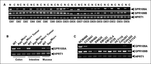 GPR109A Is a G-protein–Coupled Receptor for the Bacterial Fermentation ...
