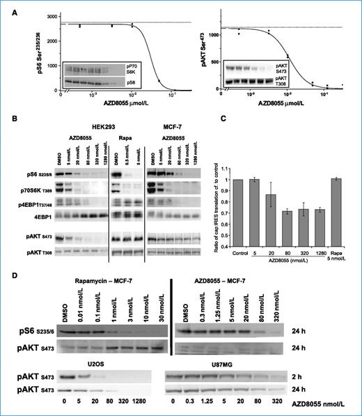 AZD8055 Is a Potent, Selective, and Orally Bioavailable ATP-Competitive ...