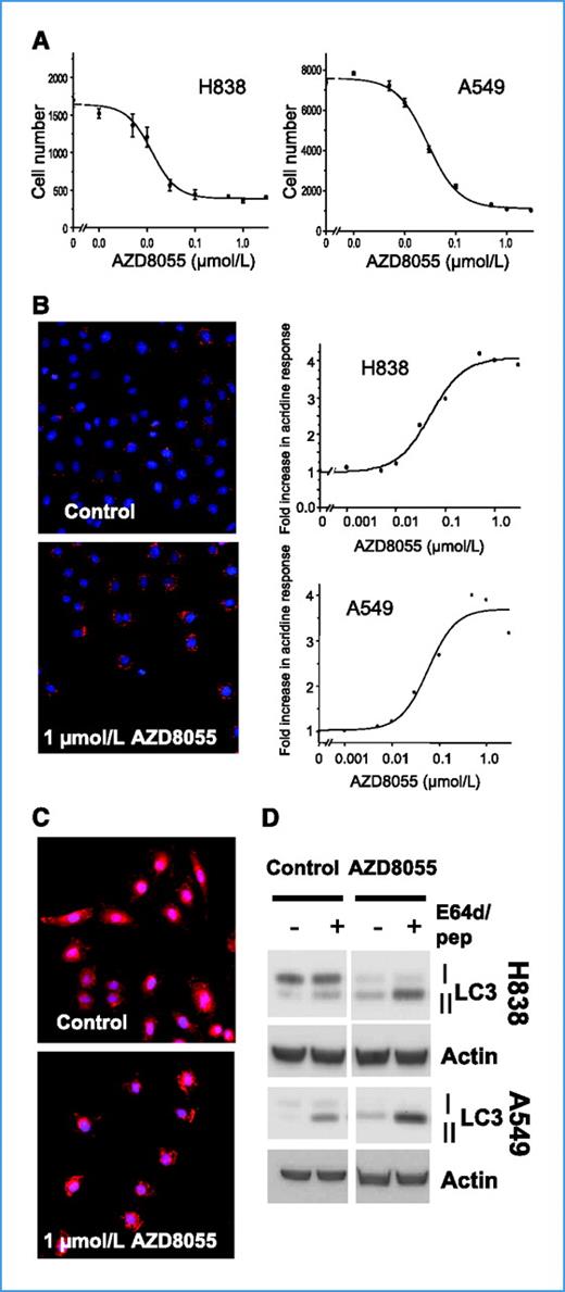 AZD8055 Is a Potent, Selective, and Orally Bioavailable ATP-Competitive ...