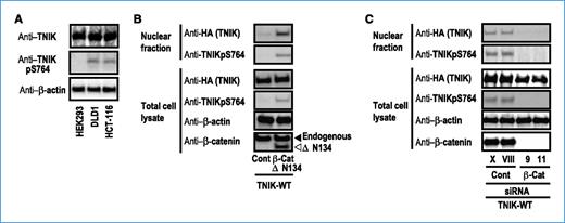 Traf2- and Nck-Interacting Kinase Is Essential for Wnt Signaling and ...
