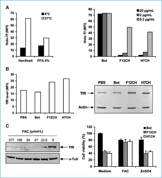 Development of Human Single-Chain Antibodies to the Transferrin ...