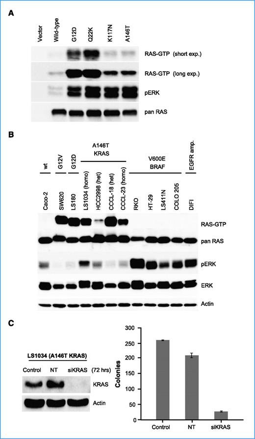 Genomic and Biological Characterization of Exon 4 KRAS Mutations in ...