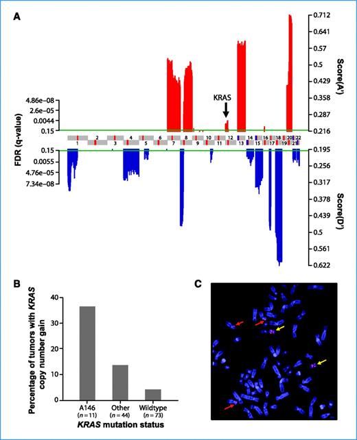 Genomic and Biological Characterization of Exon 4 KRAS Mutations in ...