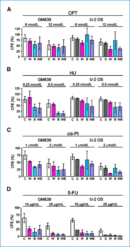 The Human WRN and BLM RecQ Helicases Differentially Regulate Cell ...