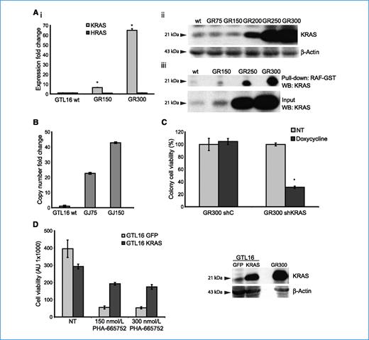 MET and KRAS Gene Amplification Mediates Acquired Resistance to MET ...