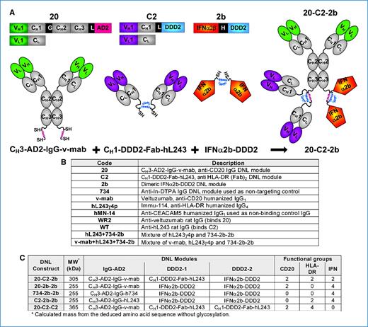A Bispecific Antibody-IFNα2b Immunocytokine Targeting CD20 and HLA-DR ...
