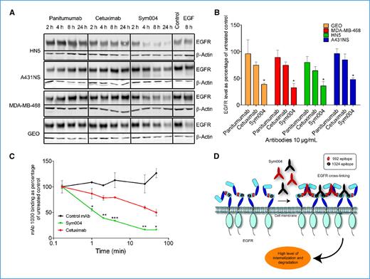 Sym004: A Novel Synergistic Anti–Epidermal Growth Factor Receptor ...