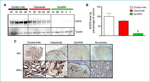 Sym004: A Novel Synergistic Anti–Epidermal Growth Factor Receptor ...