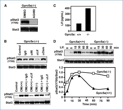 Gprc5a Deletion Enhances the Transformed Phenotype in Normal and ...