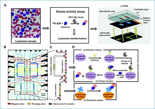 Integrated Microfluidic and Imaging Platform for a Kinase Activity ...