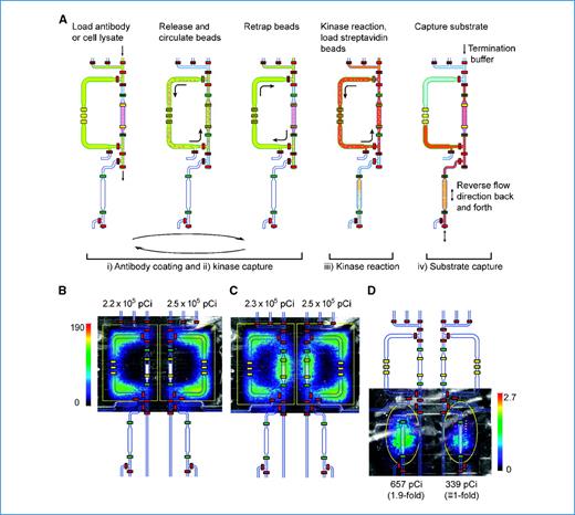 Integrated Microfluidic and Imaging Platform for a Kinase Activity ...