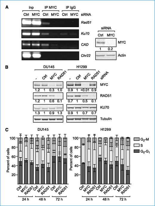 Tumor Cell Kill by c-MYC Depletion: Role of MYC-Regulated Genes that ...