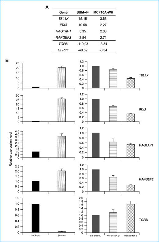 Transforming Properties of 8p11-12 Amplified Genes in Human Breast ...