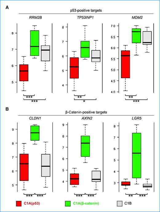 Transcriptome Analysis Reveals that p53 and β-Catenin Alterations Occur ...