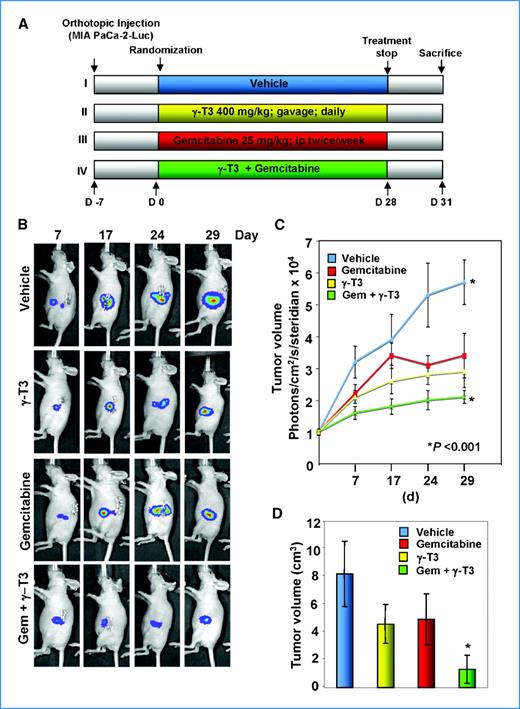 γ-Tocotrienol Inhibits Pancreatic Tumors and Sensitizes Them to ...