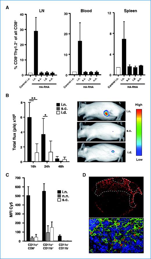 Intranodal Vaccination with Naked Antigen-Encoding RNA Elicits Potent ...