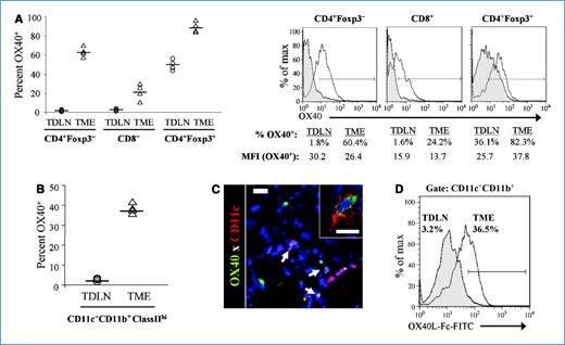 A Therapeutic OX40 Agonist Dynamically Alters Dendritic, Endothelial ...