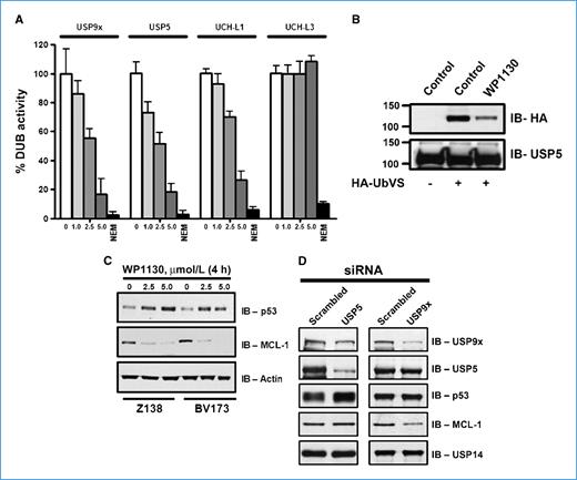 Deubiquitinase Inhibition by Small-Molecule WP1130 Triggers Aggresome ...