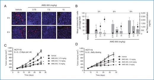 Preclinical Evaluation of AMG 900, a Novel Potent and Highly Selective ...