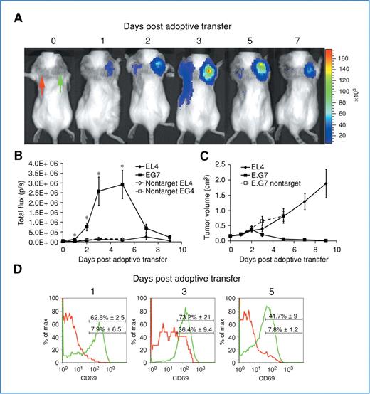 Longitudinal, Noninvasive Imaging of T-Cell Effector Function and ...