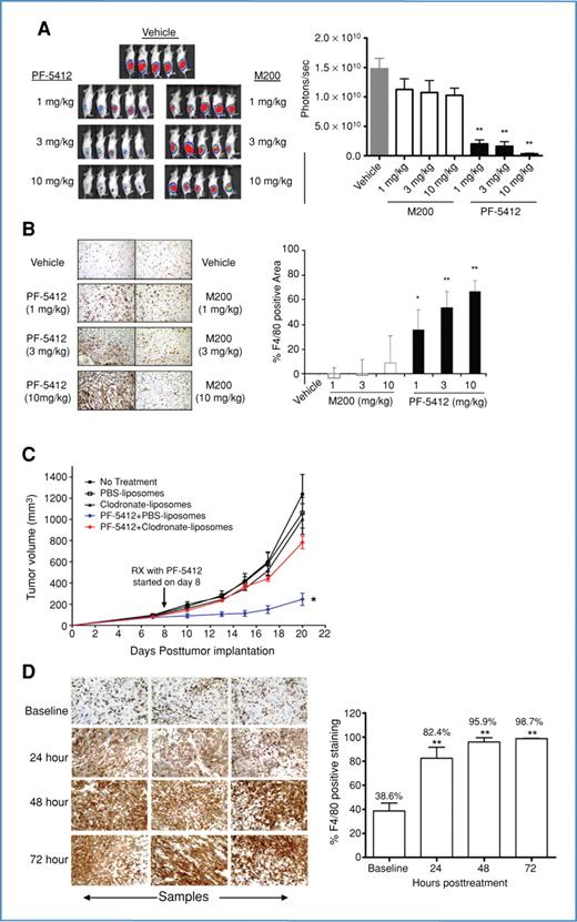 Dual Functional Monoclonal Antibody PF-04605412 Targets Integrin α5β1 ...