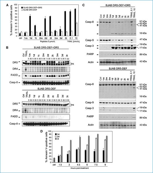 Multivalent DR5 Peptides Activate the TRAIL Death Pathway and Exert ...