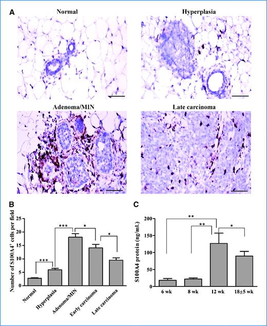 Lung Metastasis Fails in MMTV-PyMT Oncomice Lacking S100A4 Due to a T ...